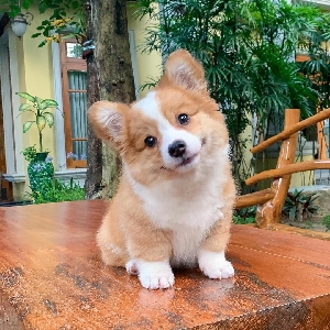 镜面的蓝天 