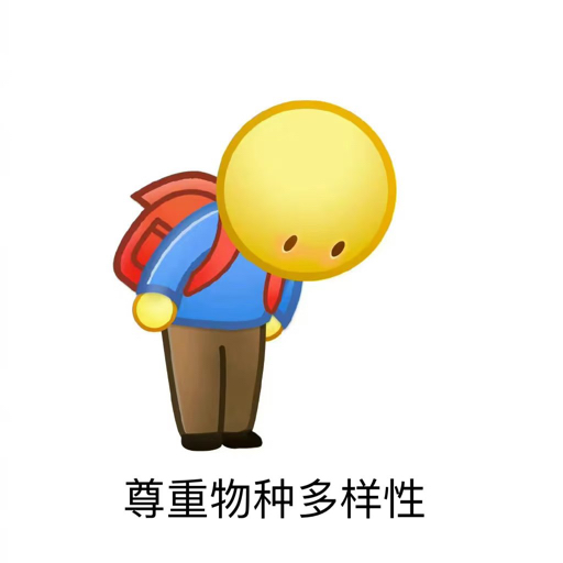 两个炸鸡腿 