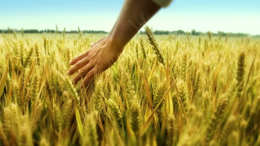 特别制作|《乡村振兴齐鲁样板一一村村有好戏》宣传片