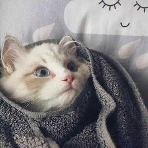 过眼云烟之我心依旧zzz 