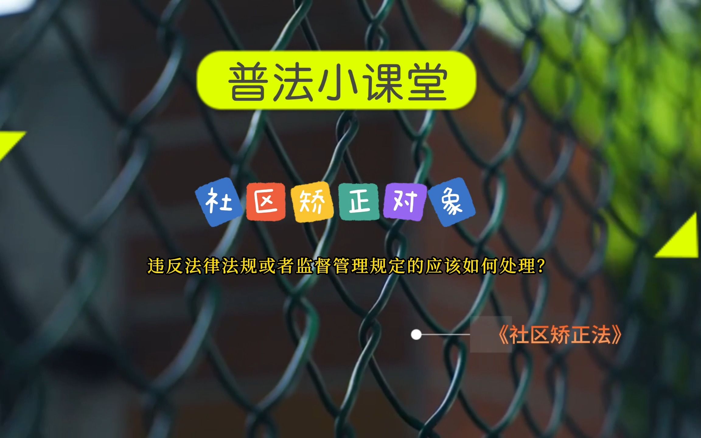 普法小课堂:社区矫正对象违反法律法规或者监督管理规定的应该如何...