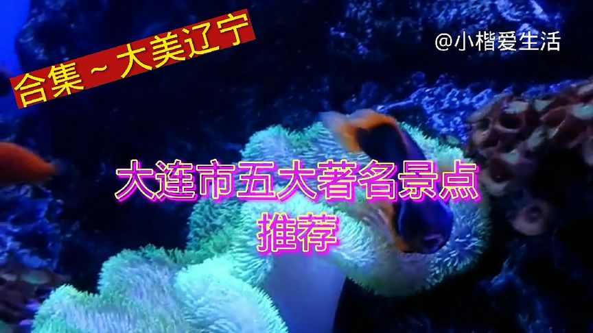 大连市五大著名景点推荐,看看你来过几个,合集～大美辽宁