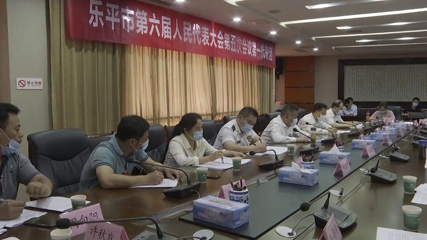 出席市六届人大五次会议的代表分代表团开展审议活动