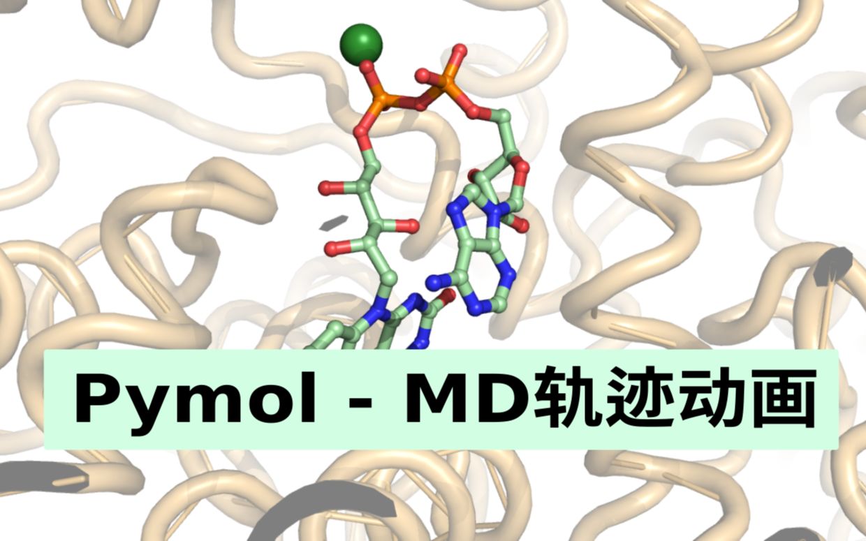 Pymol-分子动力学(MD)模拟轨迹动画