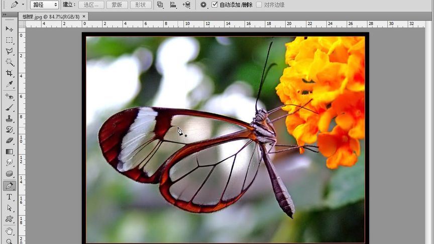UI之平面设计PS全套学习教程:7-1 使用钢笔工具绘制路径