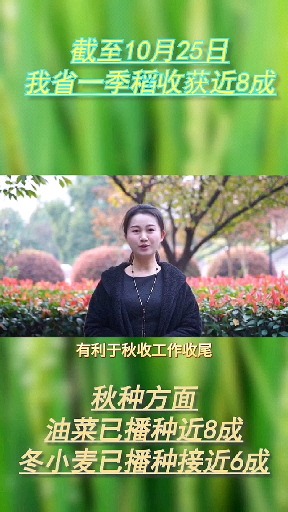 我省一季稻收获近8成,冬小麦已播种近6成!#安徽##水稻##农网农气#