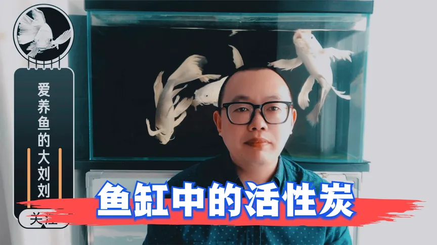 鱼缸中活性炭的作用,以及使用注意事项。