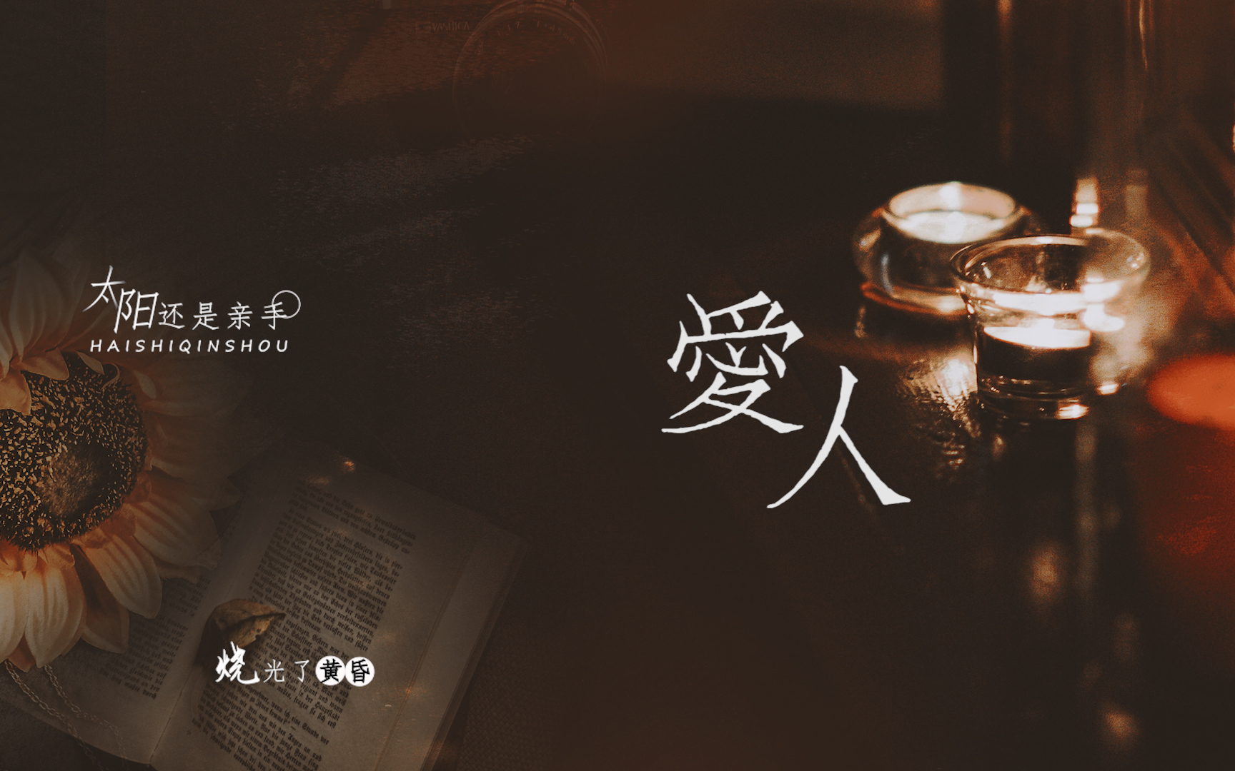 【动态歌词排版】爱人丨“你是他最恨的世界里最爱的人。”