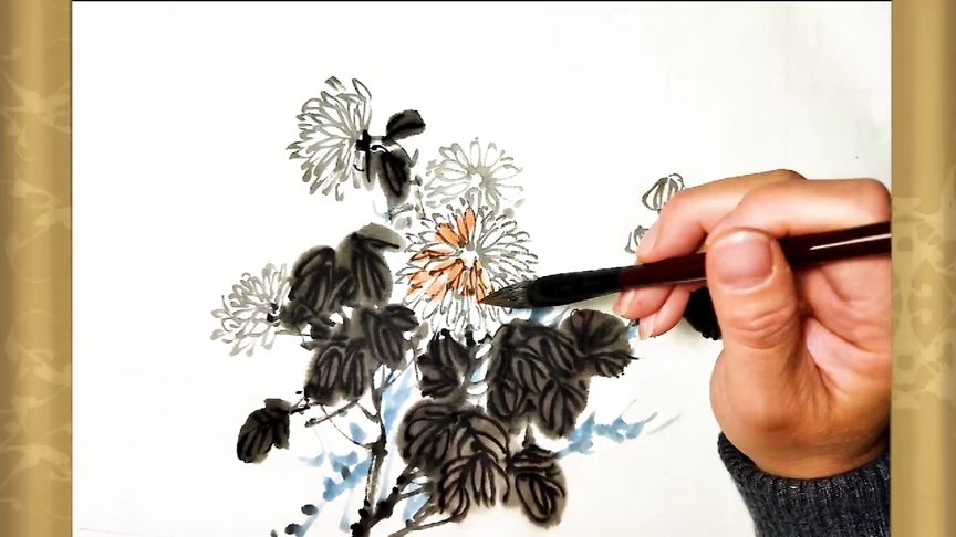 知识创作人 菊花丛组合画法,国画 写意水墨画 山水花鸟画 人物画