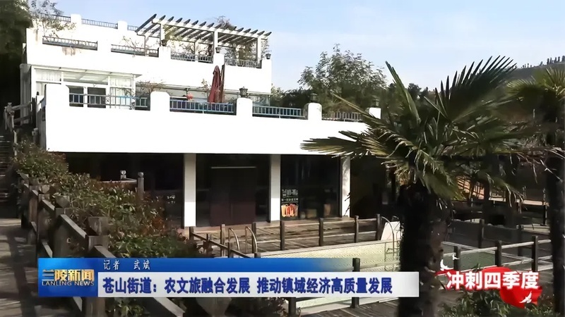 山东兰陵:农文旅融合发展 推动镇域经济高质量发展
