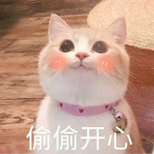 开飞机的贝吉塔_ 