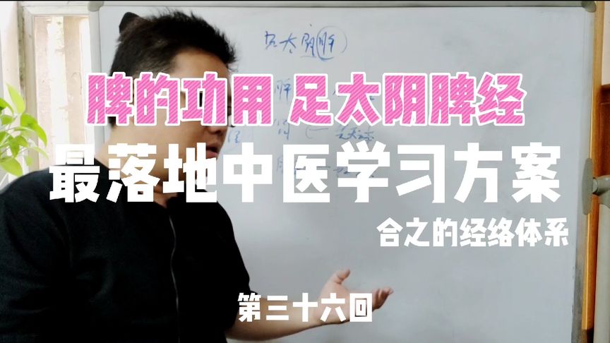 脾的功用。足太阴脾经。第三十六回。“原创”最落地中医学习方案