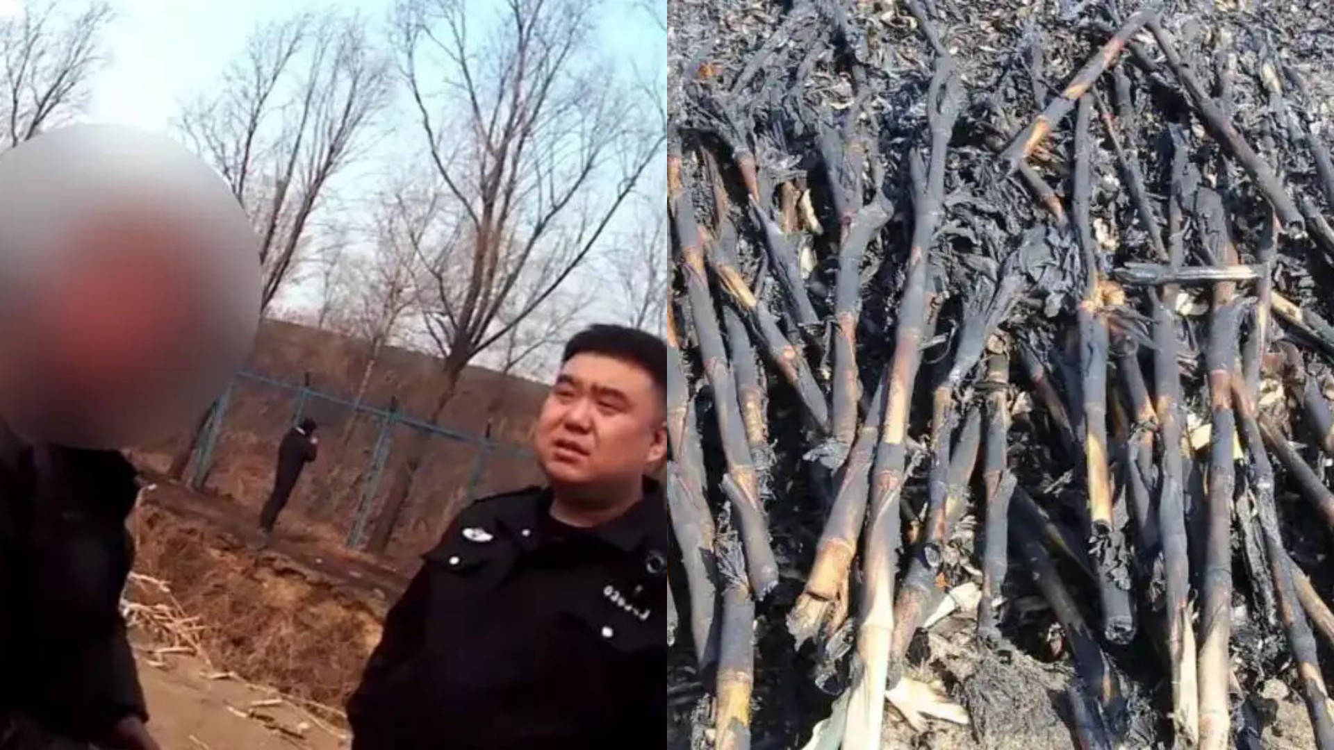 吉林一村民违规烧荒,火势凶猛侵入铁路防护网,导致11趟列车停运,村民...