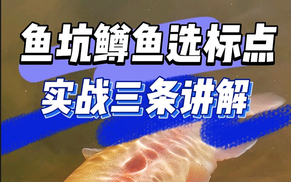 路亚鳟鱼标点选择北京紫溪庄园