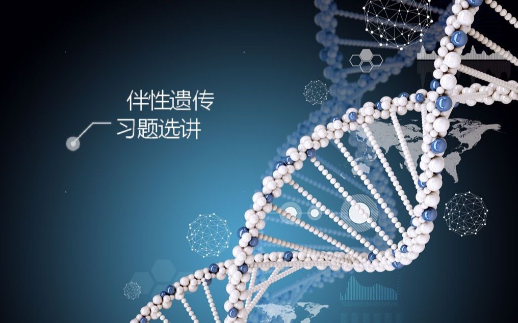 伴性遗传习题选讲:第8题(2)