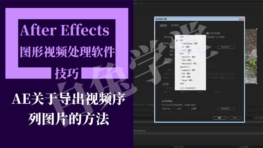 AE关于导出视频序列图片的方法