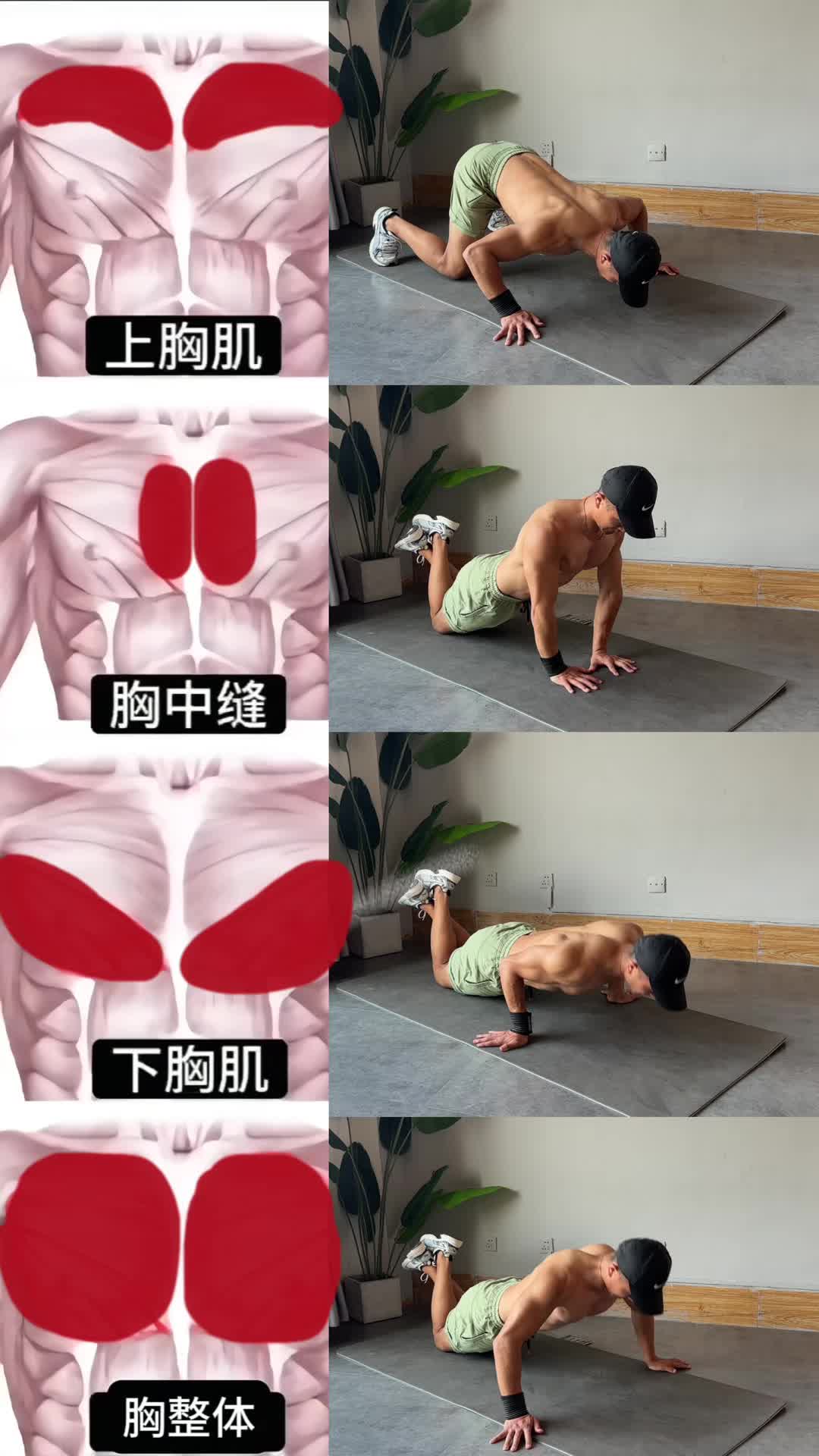 居家锻炼胸肌训练全计划#健身小白必看经验 #胸肌训练 #俯卧撑