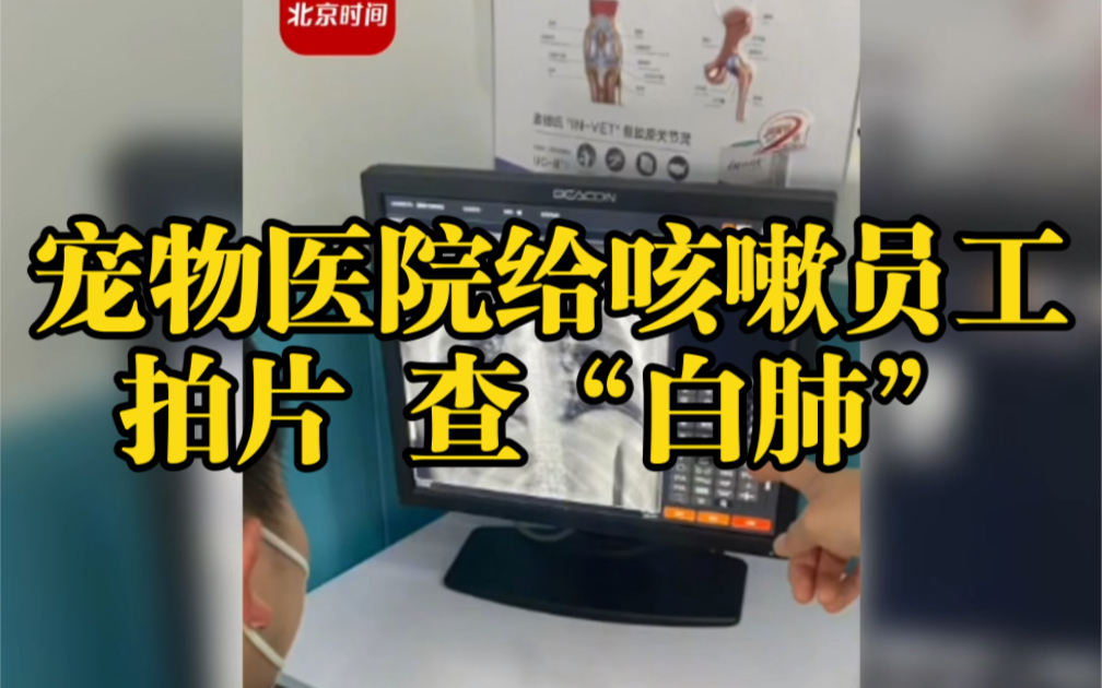 宠物医院给咳嗽员工拍片 查“白肺”:用的DR设备,辐射很小。