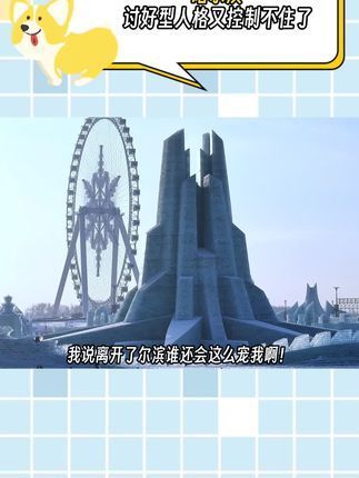 尔滨我那素未谋面的第二故乡!#哈尔滨的冬天封神了