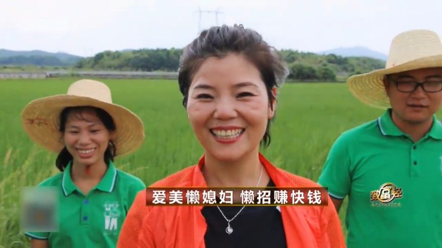江西女孩发现致富新路径,用“鳖稻共生”模式种水稻,年赚1600万