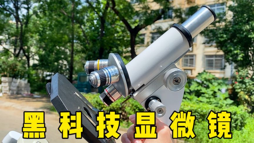 拼多多268黑科技光学显微镜,把血液放大1万倍会怎样?