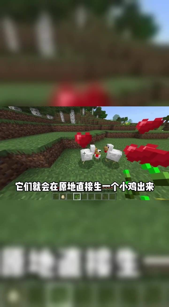 我的世界:小鸡是从鸡蛋里孵化出的啊!