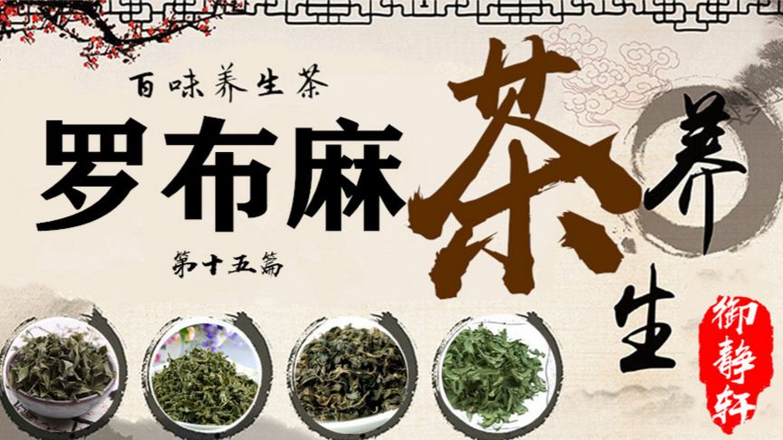 养生茶第十五篇 罗布麻茶 有平抑肝阳,清热利尿,降血压等作用