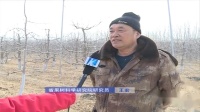 康平V生活微信公众号——培训课堂搬到了果园里