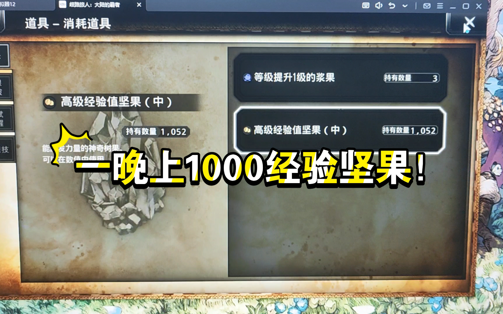 歧路旅人大陆的霸者,mumu模拟器挂机一晚上成果