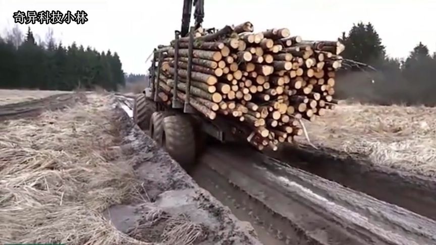 原来深山里的树木砍伐后,是这样子运输出去的,涨见识了
