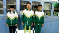 种子的萌发过程中发生了能量变化