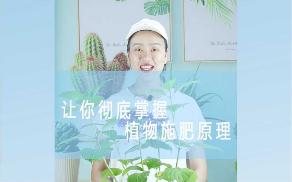 不同元素对植物生长的重要性,你了解多少?