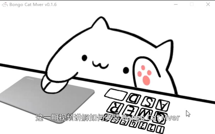 Bango Cat Mver的安装及在B站、小红书直播中如何使用