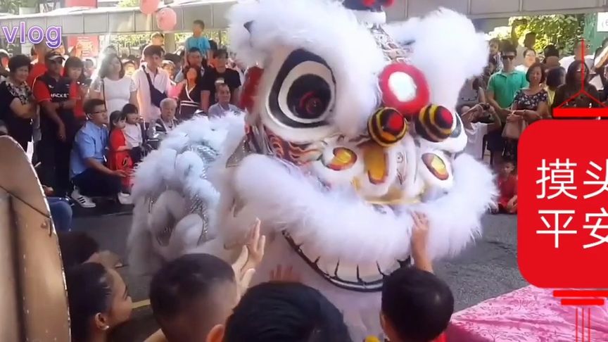 醒狮表演引起了众人围观摸头祈求一年平安!