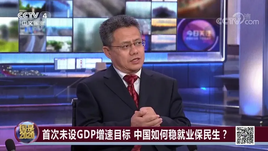 辛鸣:通过“六稳”、“六保” 可维护经济社会长期稳定发展大局