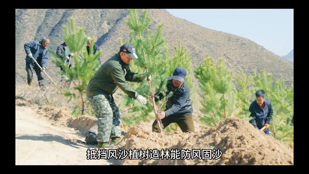 植树造林的好处#保护环境人人有责