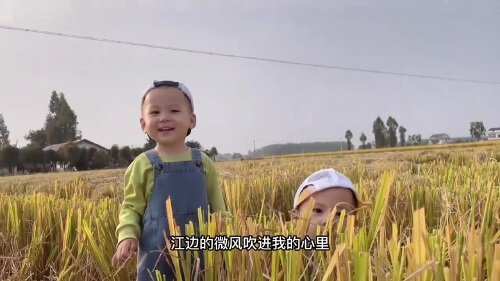 我看不到你们了,藏在哪里了