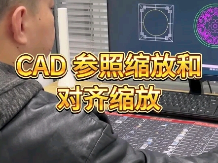 CAD参照缩放和对齐缩放