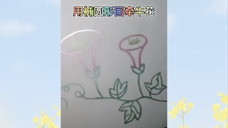 创意简笔画,椭圆形画牵牛花,牵牛花,像喇叭,风吹雨打都不怕