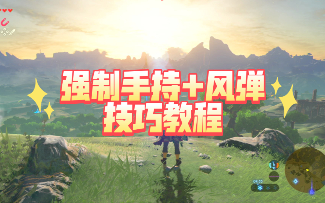 塞尔达传说旷野之息dlc强制手持教学风弹新手入门教学按键顺序_哔哩...