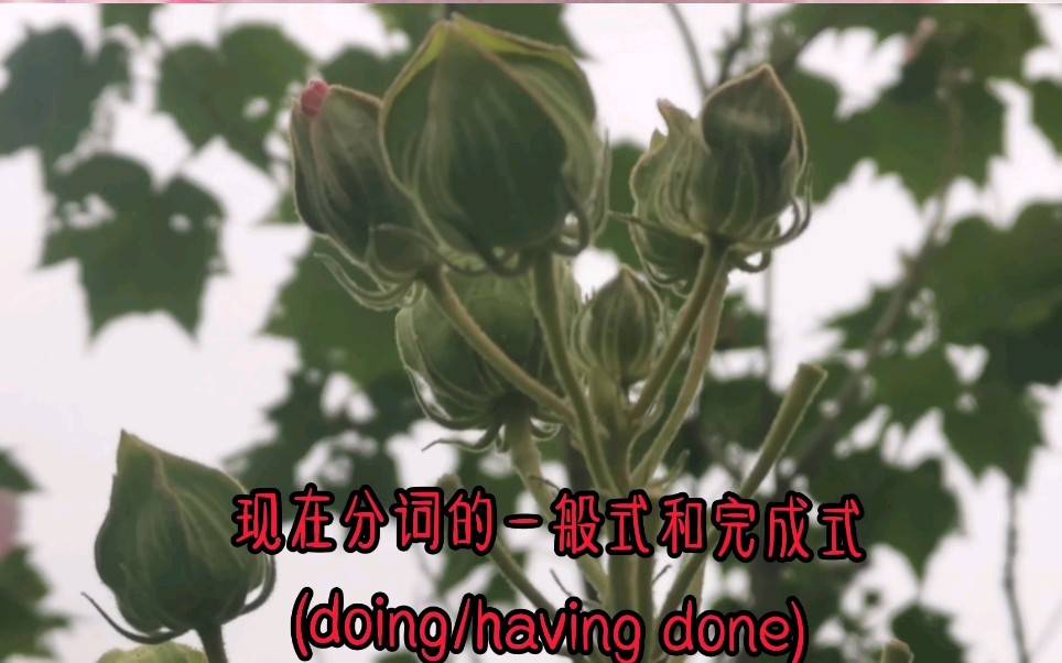 现在分词的一般式和完成式(doing/having done)