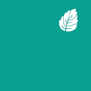 灼眼的绿夏 