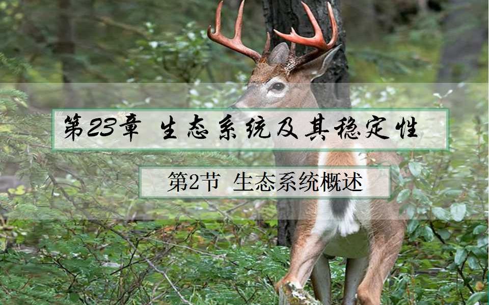 北师大版生物八下23.2 生态系统概述