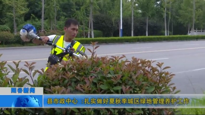 阳谷县市政扎实做好绿化管理养护