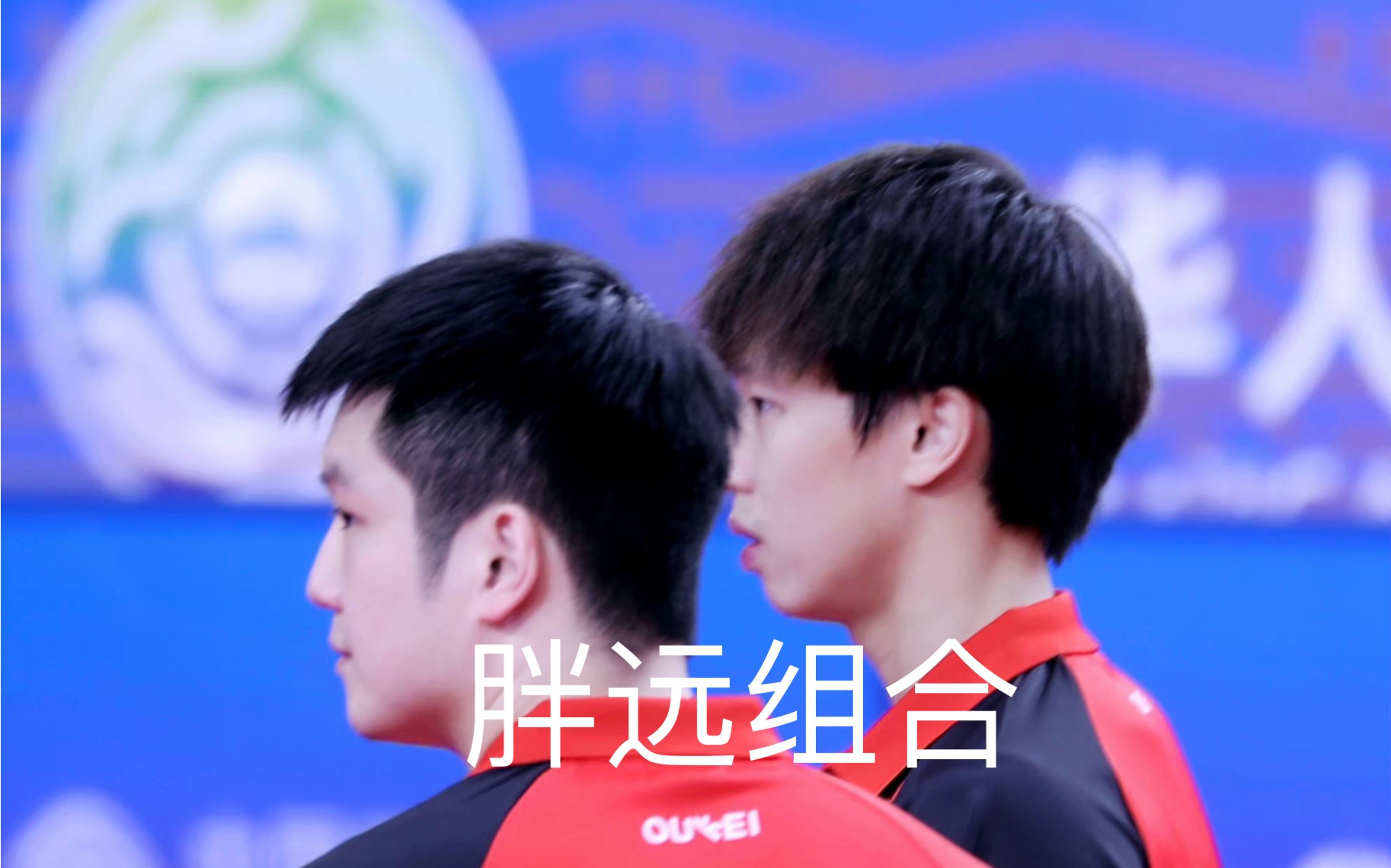 樊振东、林高远参加汕头明润乒乓球俱乐部活动,助力乒乓球运动— ...