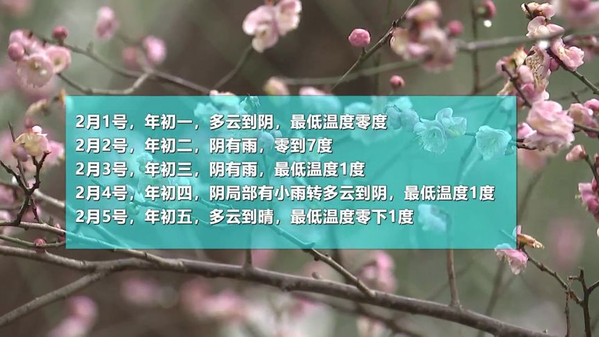 春节期间,天气如何
