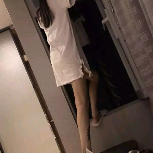 我的世界神奇宝贝1 