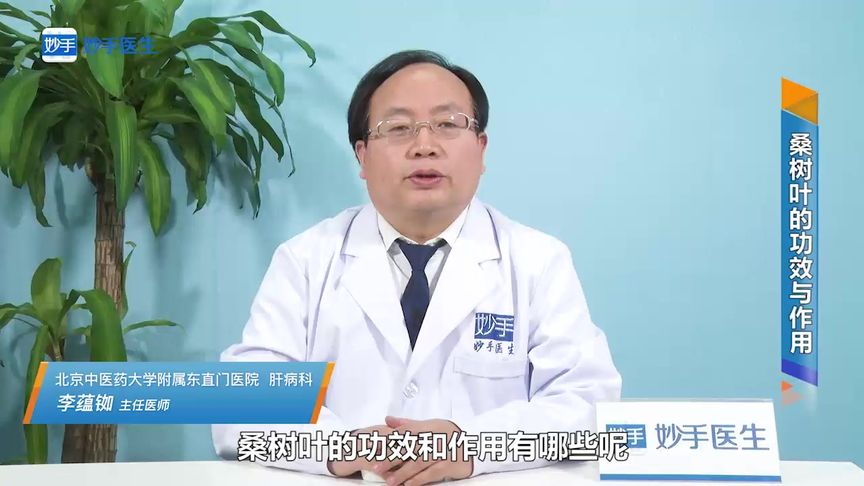桑树叶有哪些功效与作用?