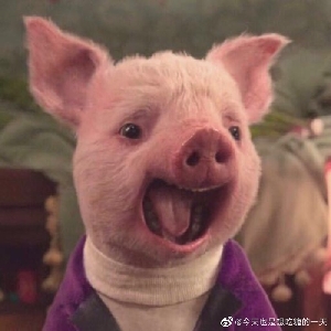洗衣机洗布 