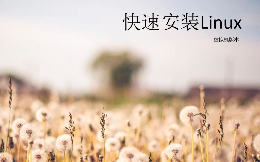 快速安装Linux(虚拟机)